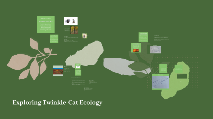 creature feature project (bridget and emma) by Emma Kim on Prezi