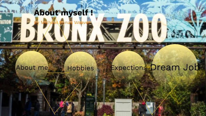 Michael Bonas by Michael Bonas on Prezi