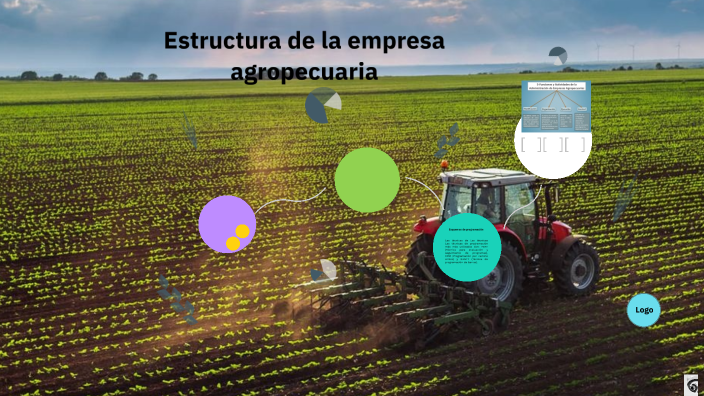 estructura de la empresa agropecuaria by wenchi nougues on Prezi