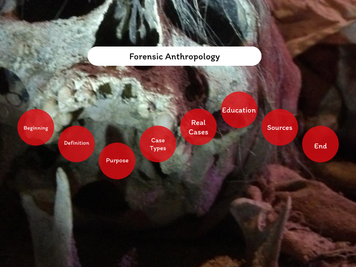 Forensic Antropology by Kaylee Flynn on Prezi