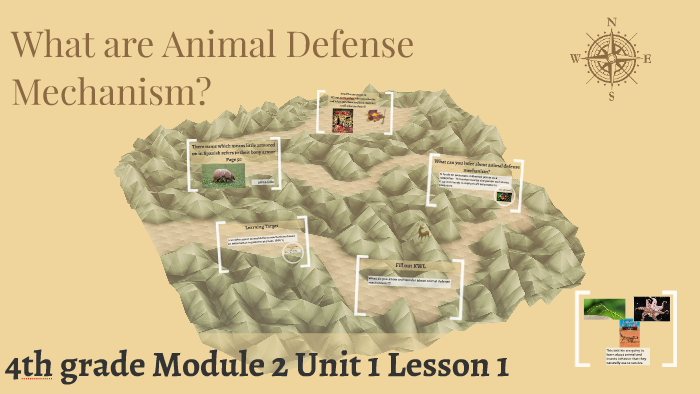 What are Animal Defense Mechanism? by M Boisvert on Prezi