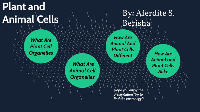 Plant and Animal Cells: Their Differences and How Their Alike by ...