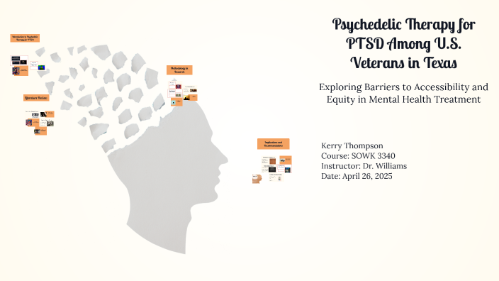 Psychedelic Therapy for PTSD Among U.S. Veterans in Texas by Kerry ...