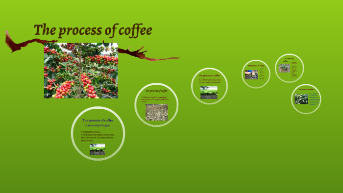 The process of coffee by alexander alvarez leon