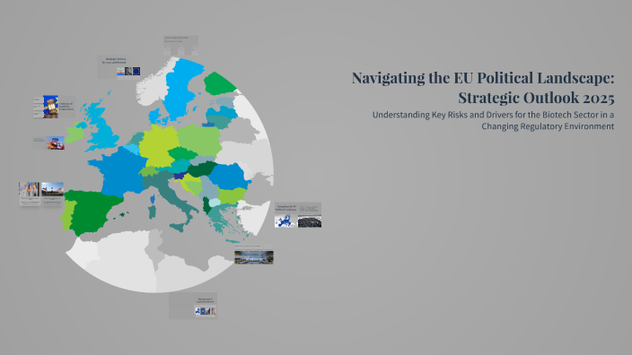 Navigating the EU Political Landscape: Strategic Outlook 2025 by Britt ...
