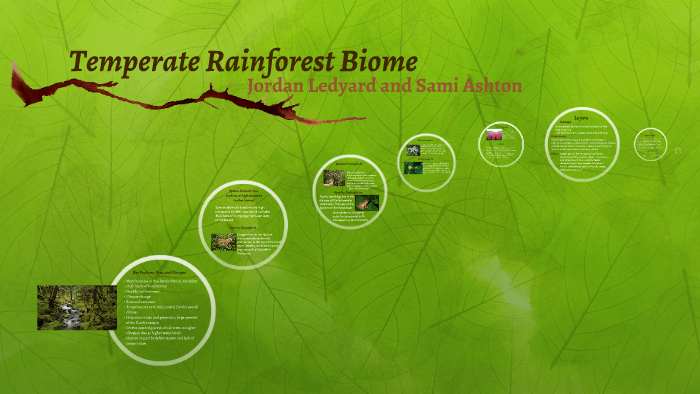 Temperate Rainforest Biome by Jordan Ledyard on Prezi