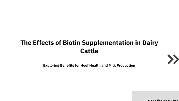 The Effects of Biotin Supplementation in Dairy Cattle by Moin Asghar on ...