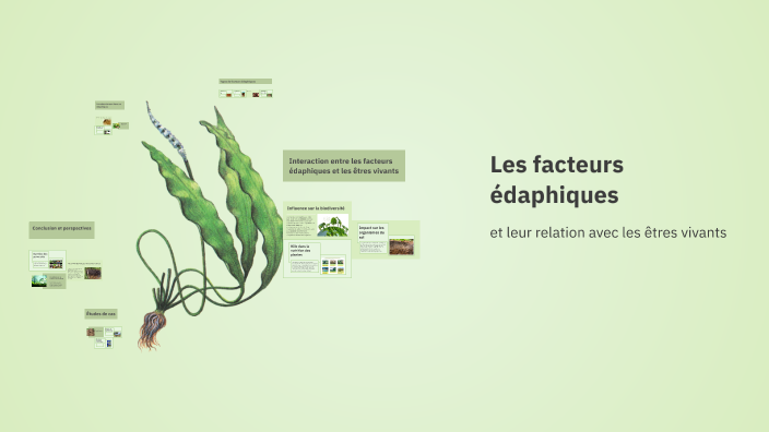 Les facteurs édaphiques by Hassan Elhary on Prezi