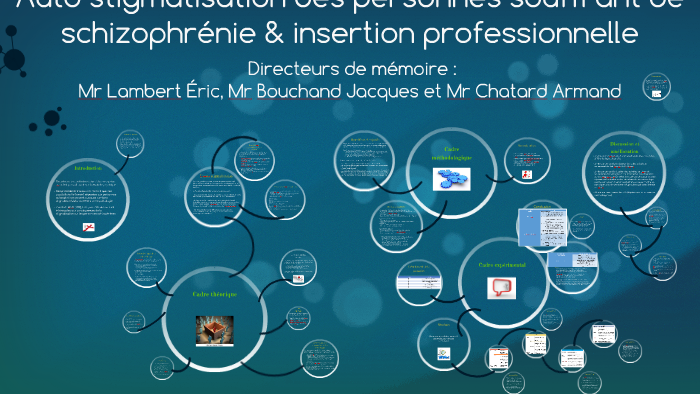 AUTO STIGMATISATION DES PERSONNES SOUFFRANT DE SCHIZOPHRENIE by Marie ...