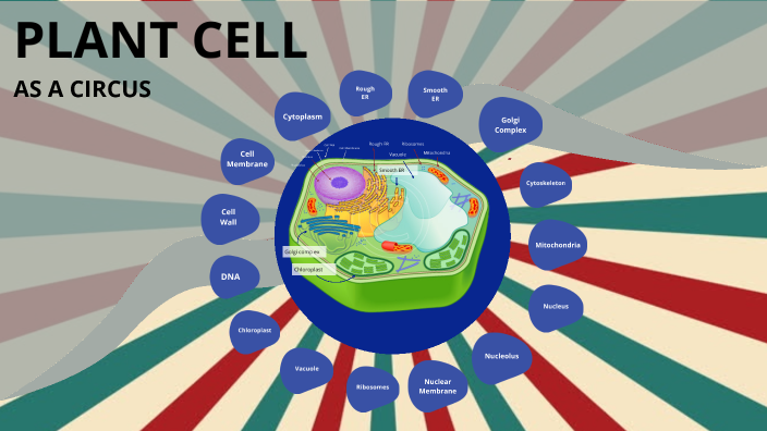 A Plant Cell as a Circus by Rylee McKenna on Prezi