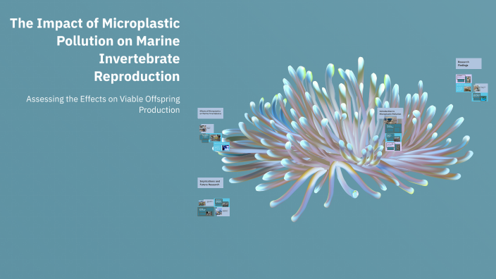 The Impact of Microplastic Pollution on Marine Invertebrate ...