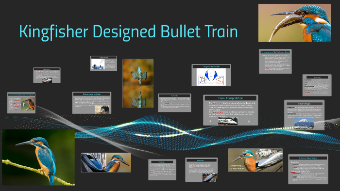 Kingfisher Designed Bullet Train by Karlen D'Mello on Prezi