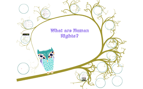 What are Human Rights? by Amanda Cowger on Prezi