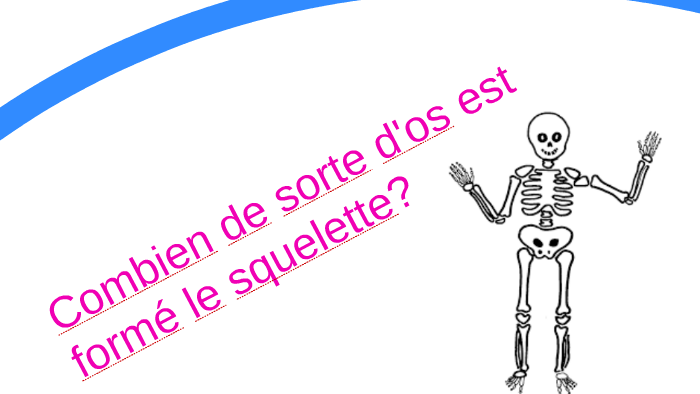 L'os Long by michel aoun on Prezi