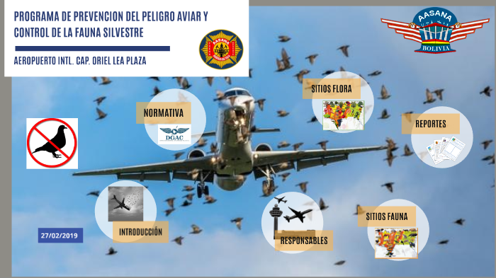 PROGRAMA DE PREVENCION DEL PELIGRO AVIAR Y CONTROL DE LA FAUNA SILVESTRE AEROPUERTO “INTL. CAP ...