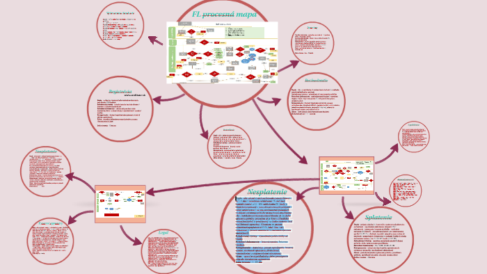 Procesná mapa FL by Monika Hlásna on Prezi