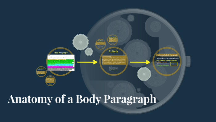 Anatomy of Body Paragraph by Ryan Sharp on Prezi