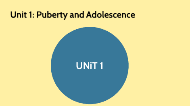 Adolescence And Puberty