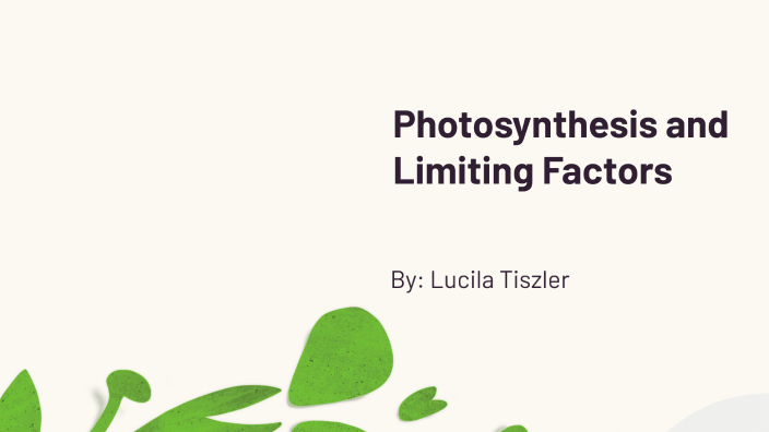 Photosynthesis and Limiting Factors by Lucila Tiszler on Prezi
