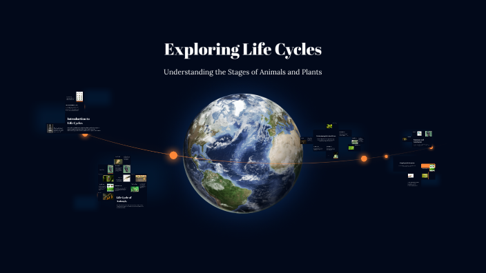 Exploring Life Cycles by Rola Farah on Prezi
