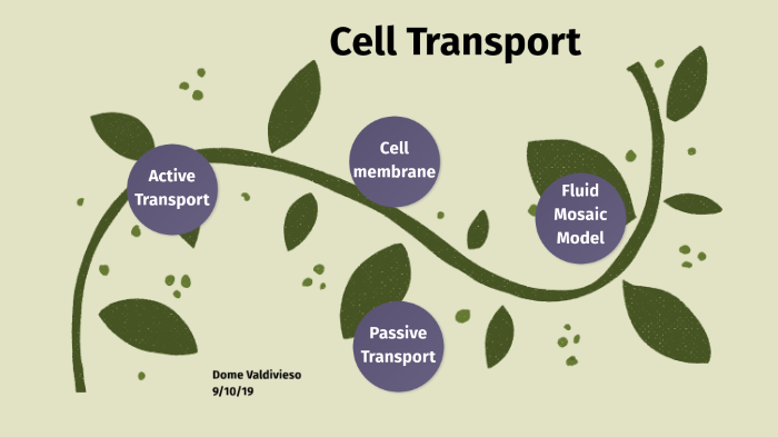 Cell Transport Concept Map by Dome Valdivieso on Prezi