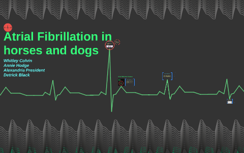 Atrial Fibrillation in horses and dogs by Whitley Colvin on Prezi