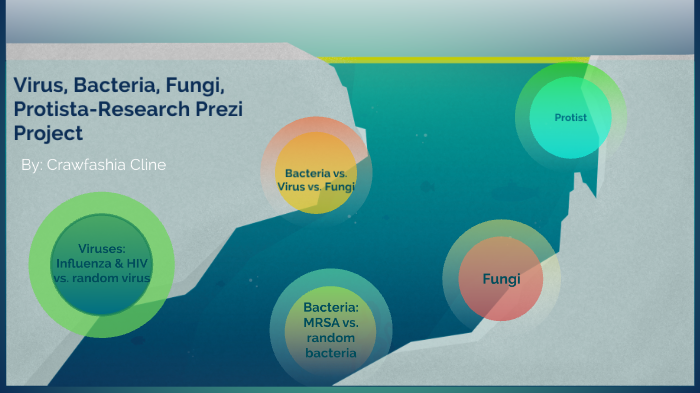 Virus, Bacteria, Fungi Protista Project by Crawfashia Cline on Prezi