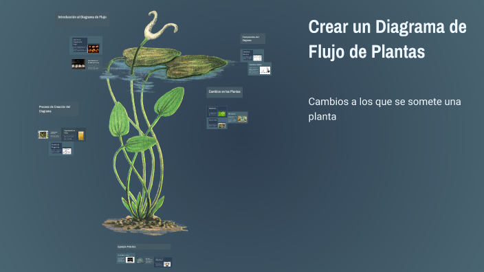 Crear un Diagrama de Flujo de Plantas by Monica Carmona on Prezi