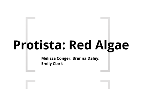 Protista: Red Algae, Green Algae, Land Plants by Emily Clark on Prezi