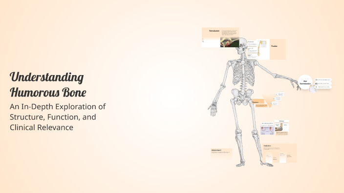 Understanding Humorous Bone by Yash Adhe on Prezi