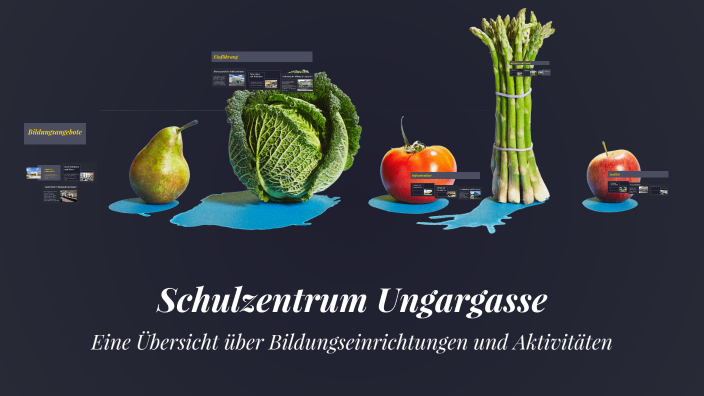 Schulzentrum Ungargasse by stephanie Mathes on Prezi