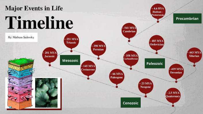 Major Events in Life Timeline by Matheus Sadovsky on Prezi