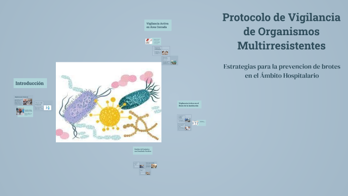 Protocolo de Vigilancia de Organismos Multirresistentes by Silvina ...