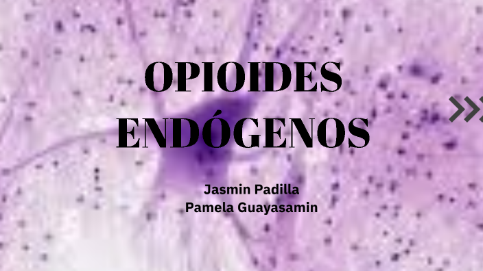 Opioides endógenos by Jasmin Padilla on Prezi