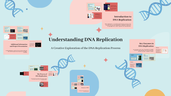 Understanding DNA Replication by Ayla Stewart on Prezi