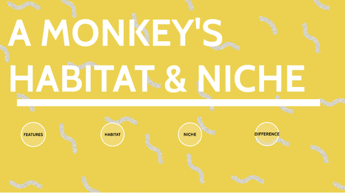 A Monkey's Niche and Habitat by Ariel Brown on Prezi