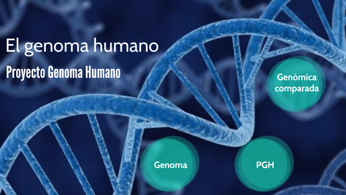 El genoma humano by Esteban Gil on Prezi