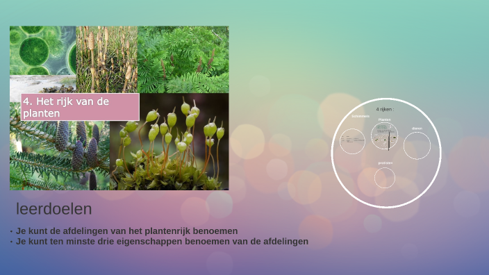 + 4. Het rijk van de planten by Amanda Selling on Prezi