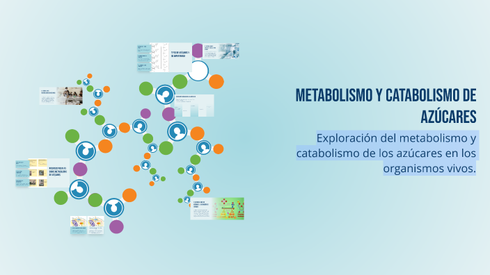 Metabolismo y Catabolismo de Azúcares by Darcy Stephanie Rodríguez on Prezi