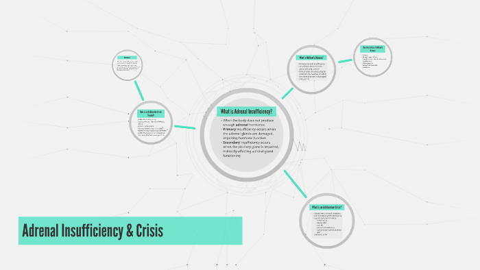 What is an Addisonian Crisis? by sarah daggs on Prezi