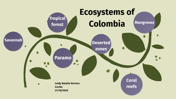 Ecosystems of Colombia by LEIDY NATALIA HERRERA CORTÉS on Prezi