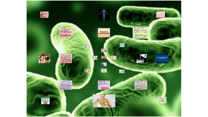 ELEMENTET KIMIKE NE TRUPIN E NJERIUT by klajdi qemalja on Prezi