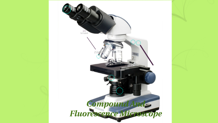 Compound And Fluorescence Microscope by Biology Group on Prezi