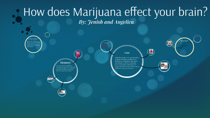 How does Marijuana effect your brain? by Jenish B on Prezi