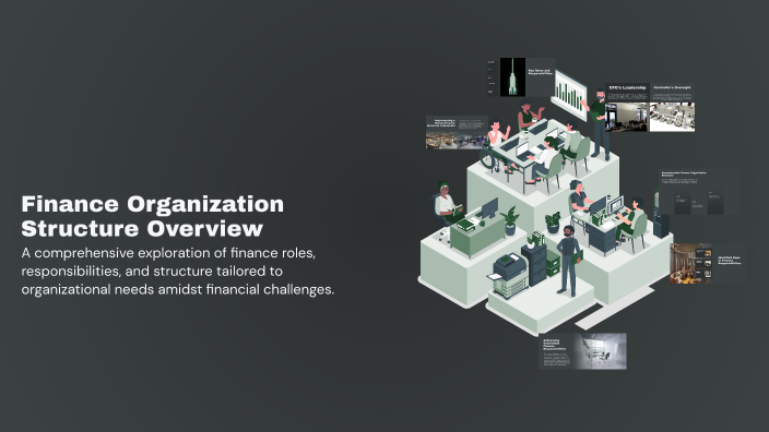 Finance Organization Structure Overview by zafar akber on Prezi