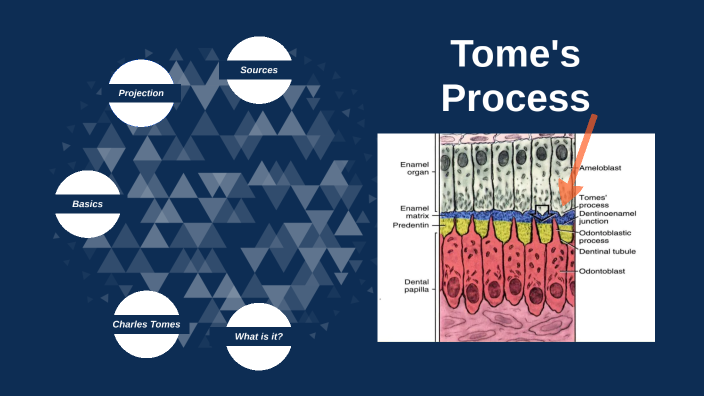 Tomes' Process by Brianna Boyt on Prezi