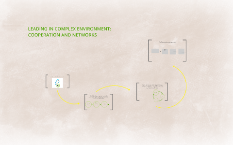 LEADING IN COMPLEX ENVIRONMENT: COOPERATION AND NETWORKS by Kinan Halal ...