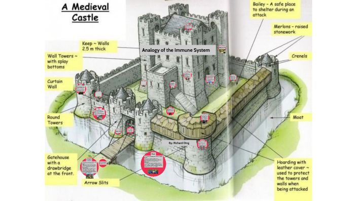 Castle Bio by Richard Ding on Prezi