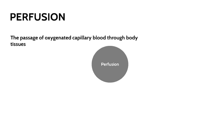 Perfusion Concept Map by Caren Malone on Prezi