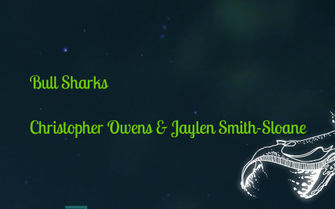 Evolution of Bull Sharks by Jaylen Smith-Sloane on Prezi
